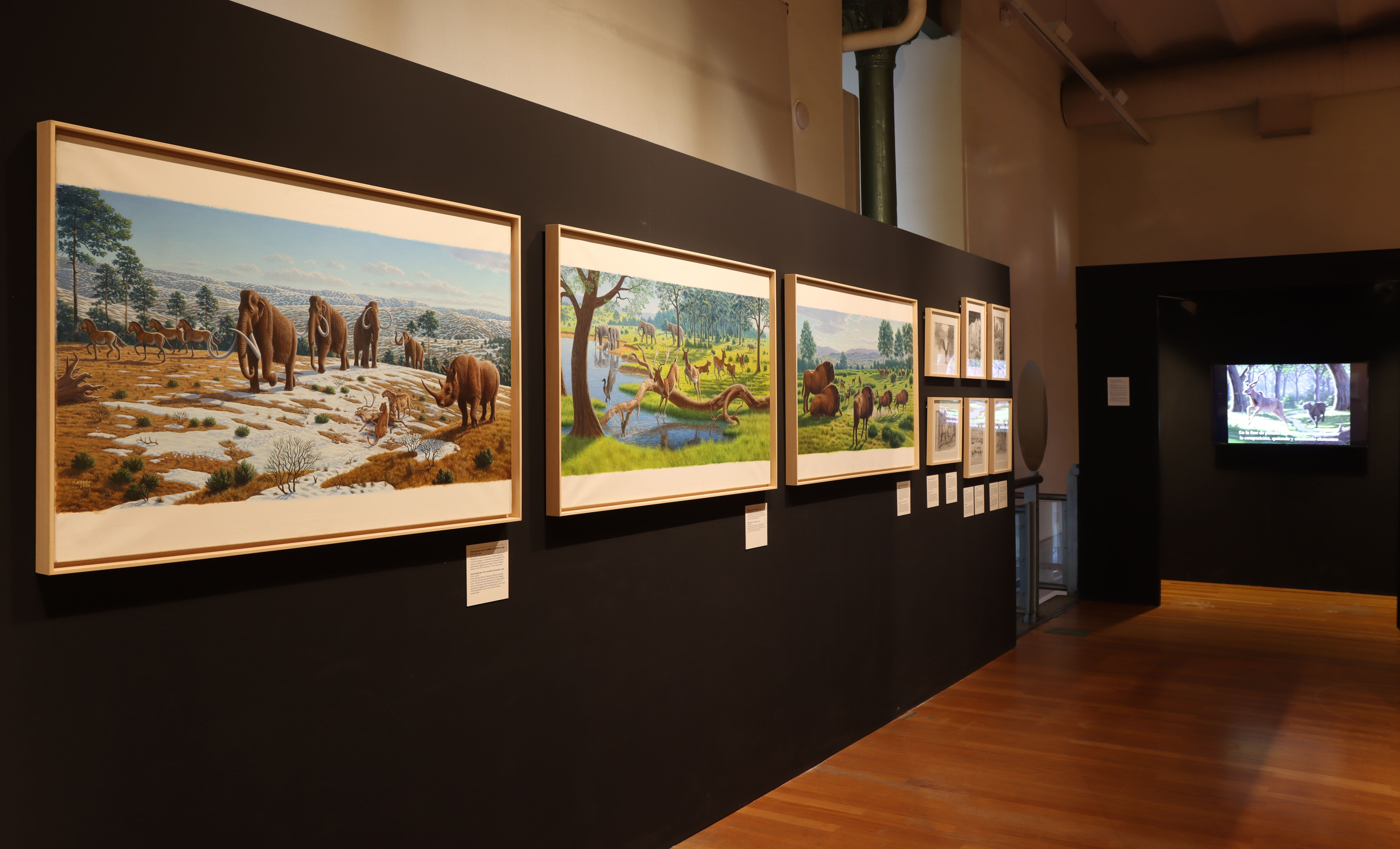 Mauricio Antón: arte y paleontología | Museo Nacional de Ciencias Naturales
